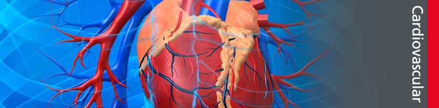 banner-cardiovascular | NIHR Oxford Biomedical Research Centre