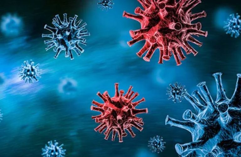 Oxford assay excels in comparison of SARS-CoV-2 antibody tests | NIHR ...